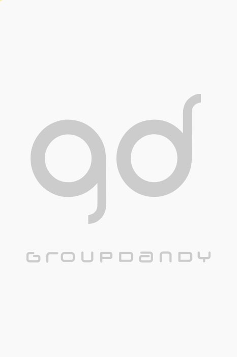 ホスト歌舞伎町｜groupdandy 公式サイト